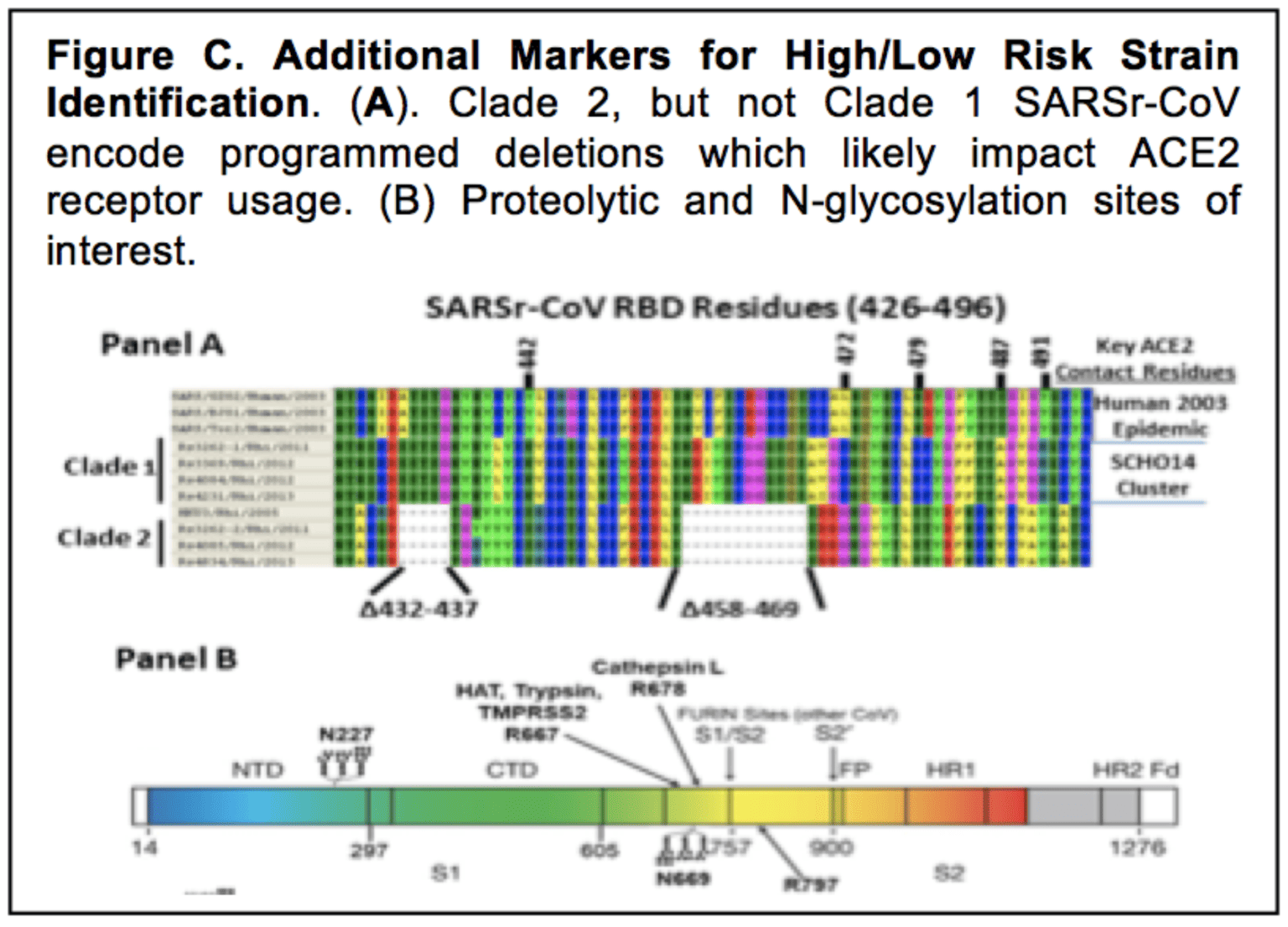 US scientists proposed making viruses with features of SARS-CoV-2 in Wuhan US scientists proposed making viruses with features of SARS-CoV-2 in Wuhan